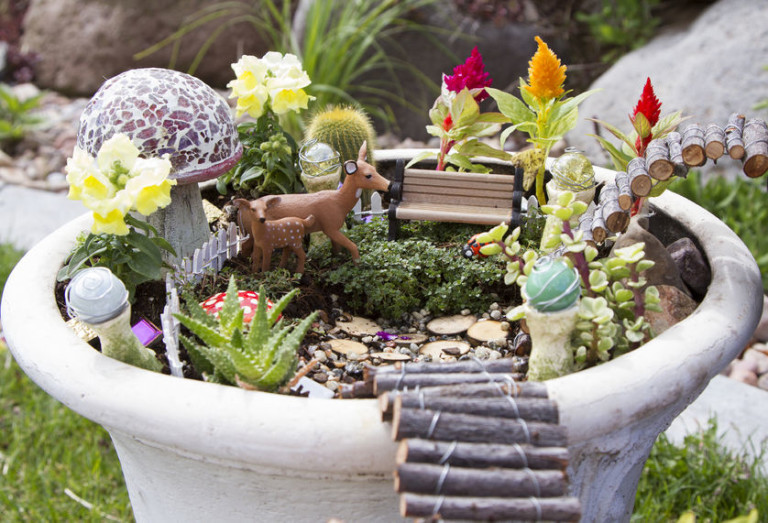 Identifying Flowers and Green Plants to Create Your Very Own Fairy ...
